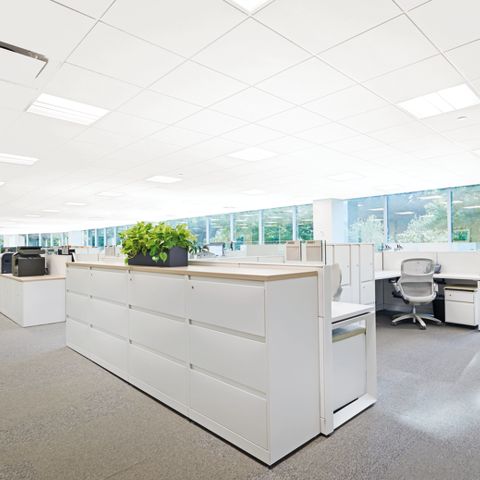 Armstrong Calla 24"x48"x1" IL | Kamco Boston